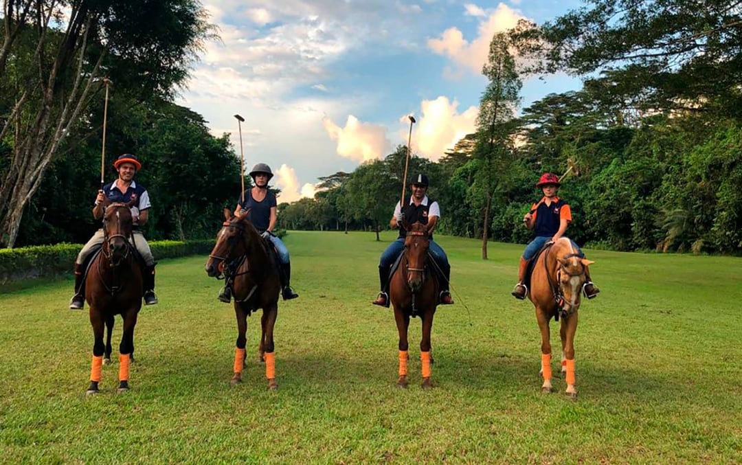 Polo Riding & Lessons - Colts