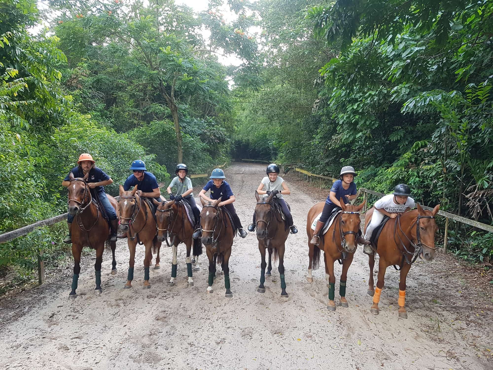 Polo Riding & Lessons - Colts